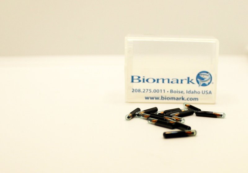 Home - Biomark - Specialists in Identification Solutions