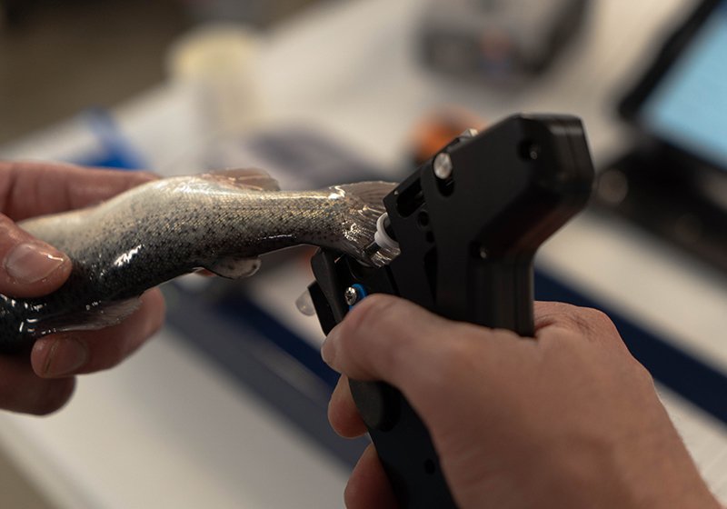 Home - Biomark - Specialists in Identification Solutions