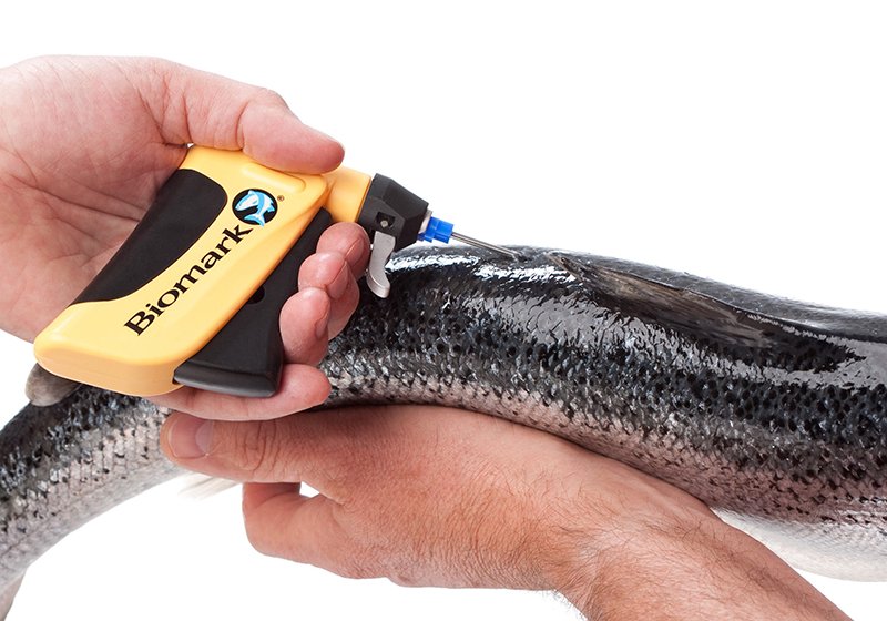 Home - Biomark - Specialists in Identification Solutions