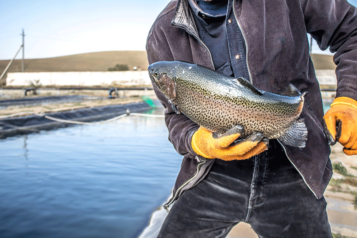 Biomark RFID PIT Tag Readers