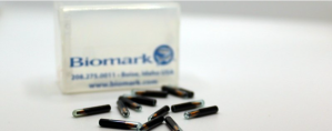 PIT Tags Archives - Biomark - Specialists in Identification Solutions