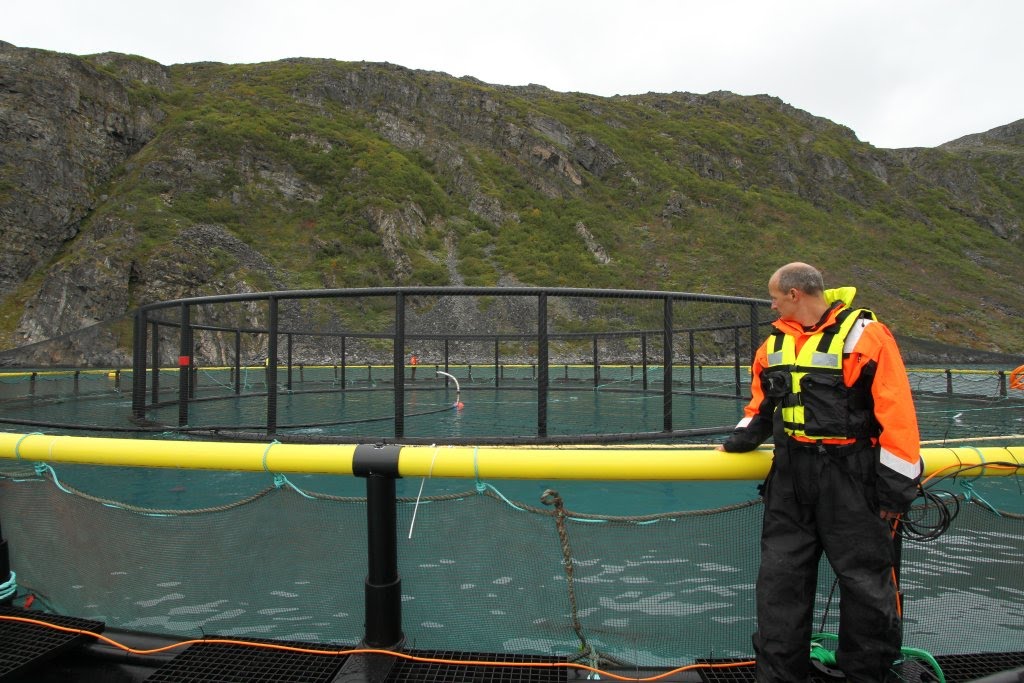 Home - Biomark - Specialists in Identification Solutions