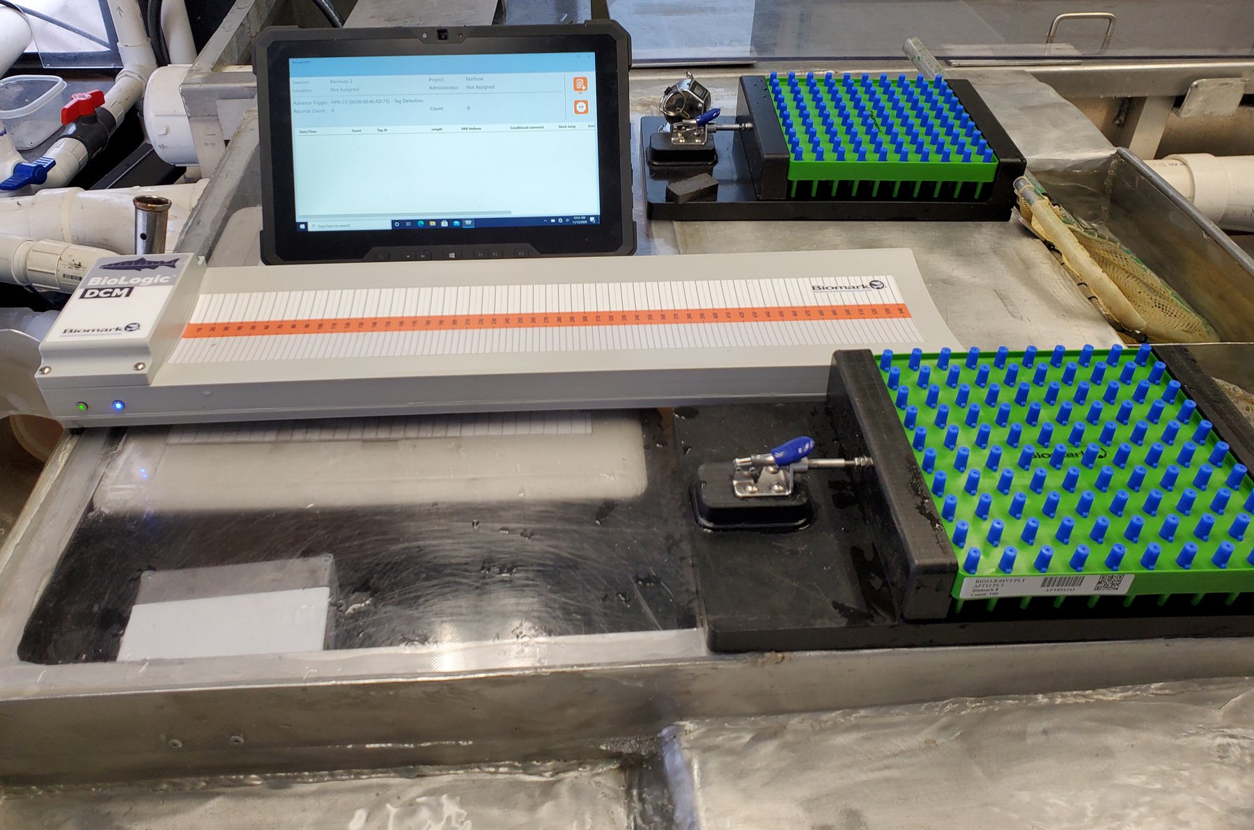 Fish Tagging Services - Biomark - Specialists in Identification Solutions