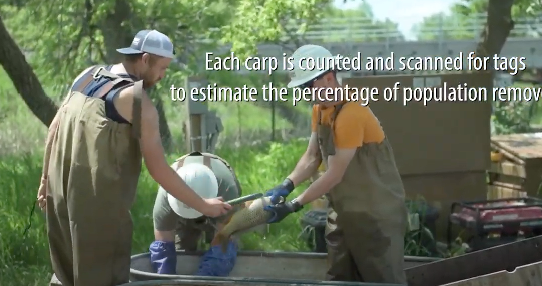 Documents Library - Biomark - Specialists in Identification Solutions