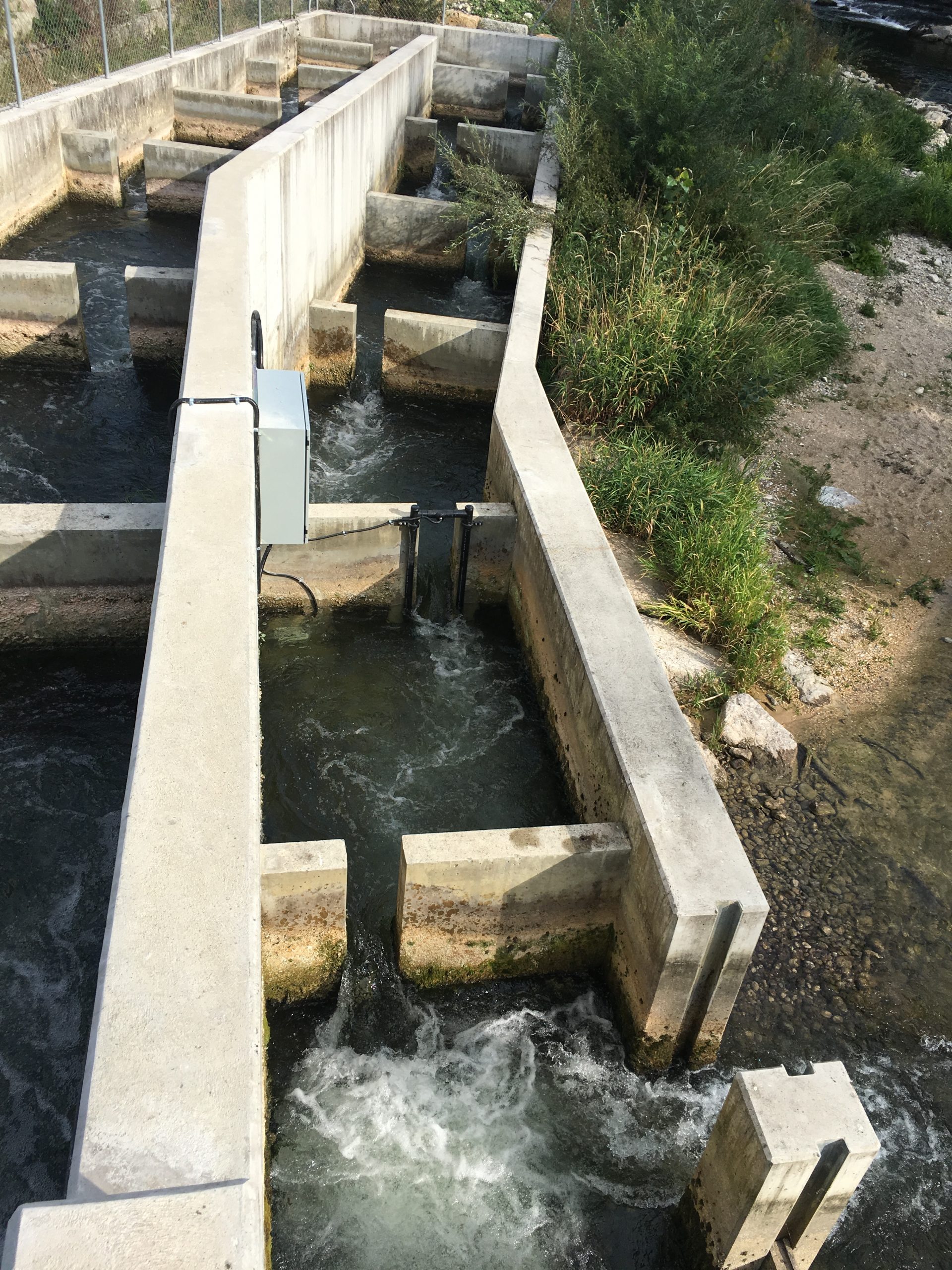 Aquatic Monitoring Systems - Biomark