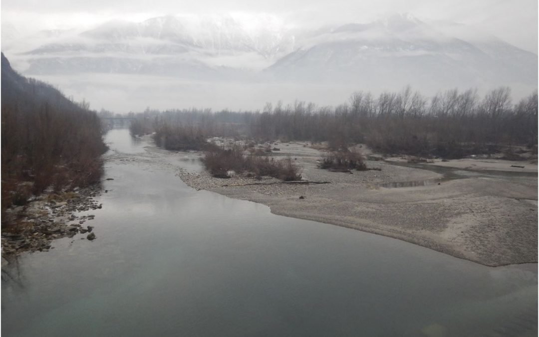 First Install of 2021 - Biomark - Specialists in Identification Solutions