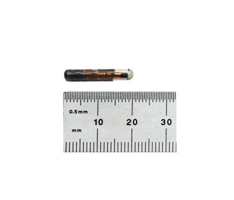 Biomark PIT Tags