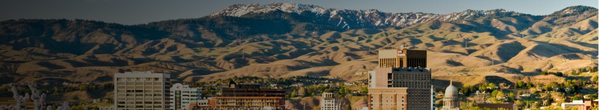 Contact Us - Biomark - Specialists in Identification Solutions