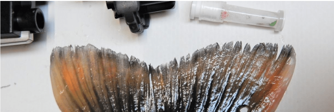 Tissue Sampling System