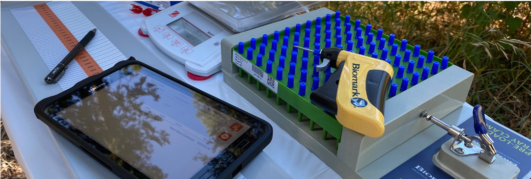 PIT Tagging Accessories - Biomark - Specialists in Identification Solutions