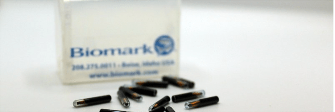 Biomark PIT Tags