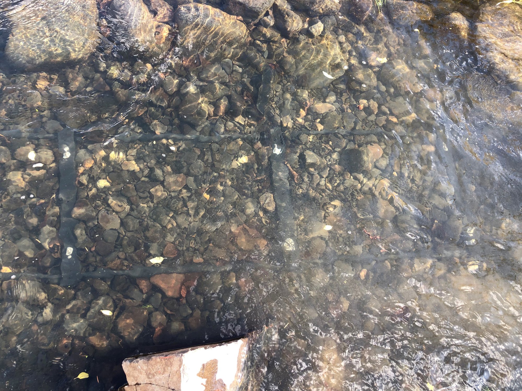 Biomark PIT Tag Antennas