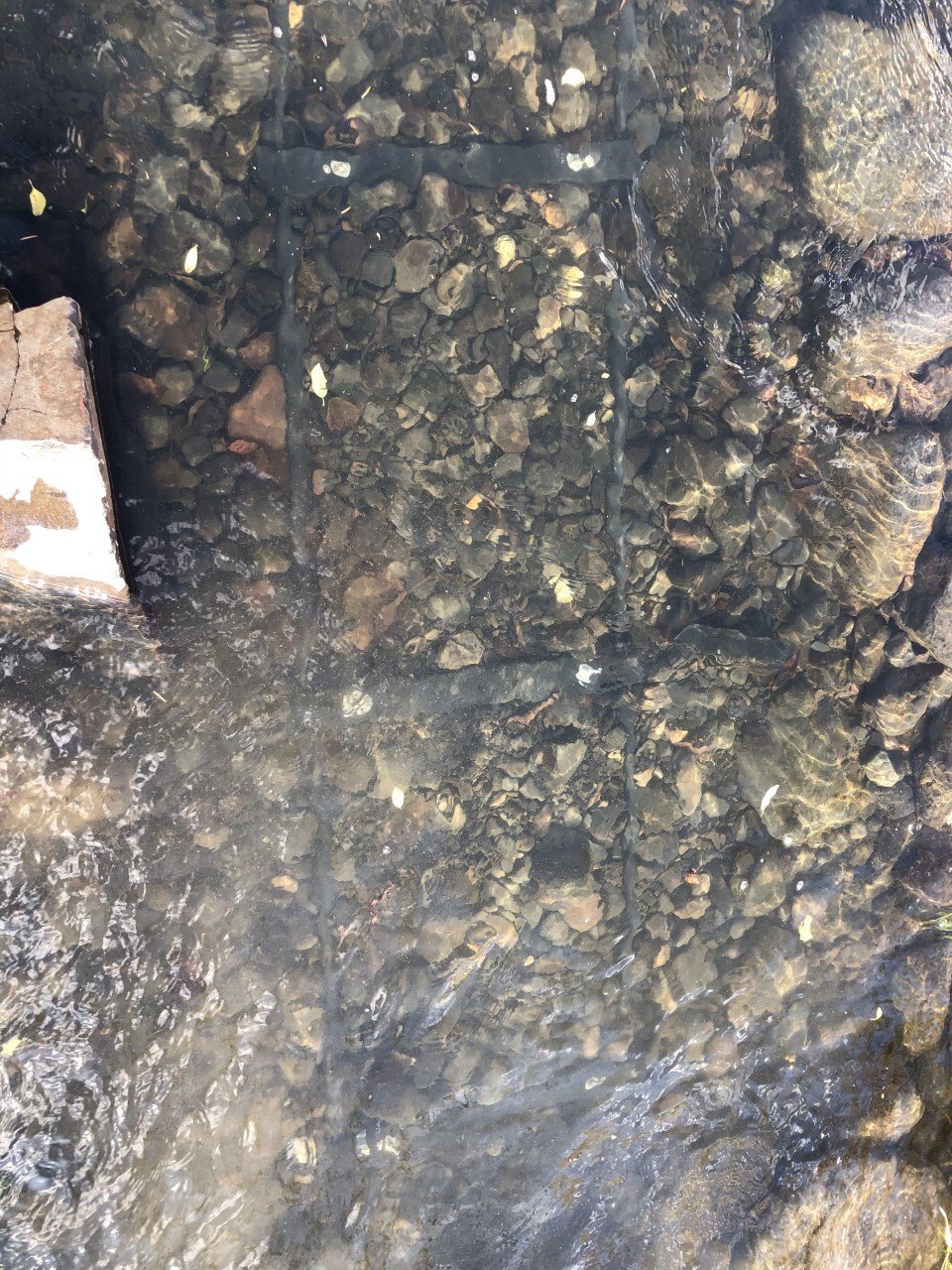 Biomark PIT Tag Antennas