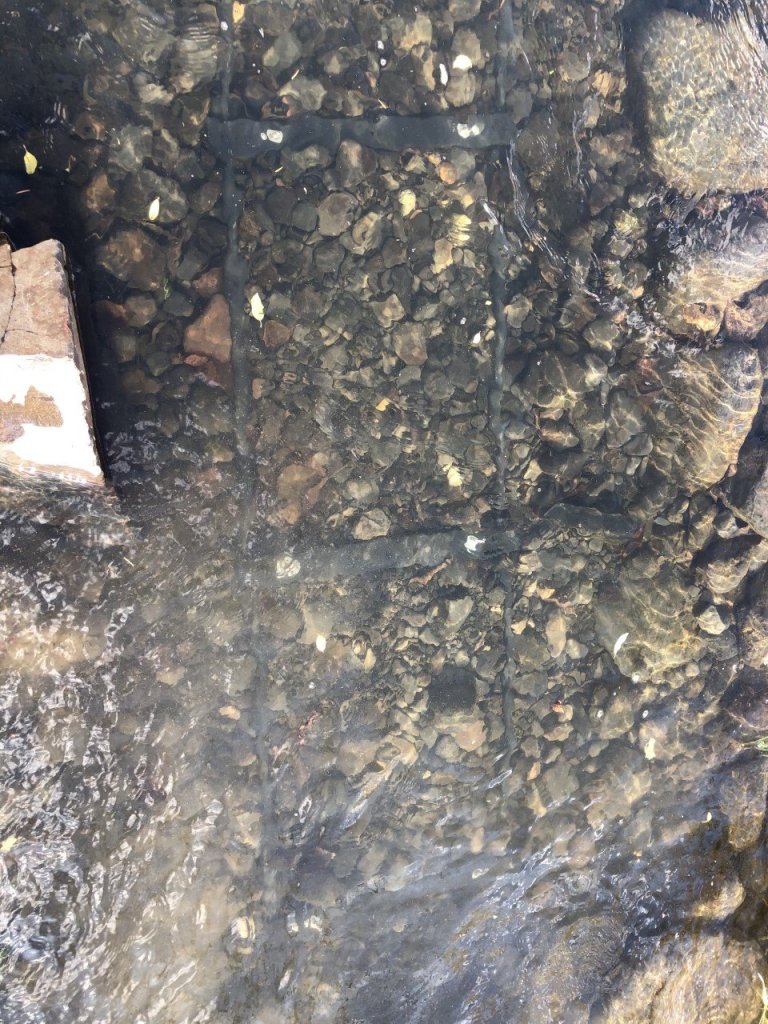 Biomark PIT Tag Antennas