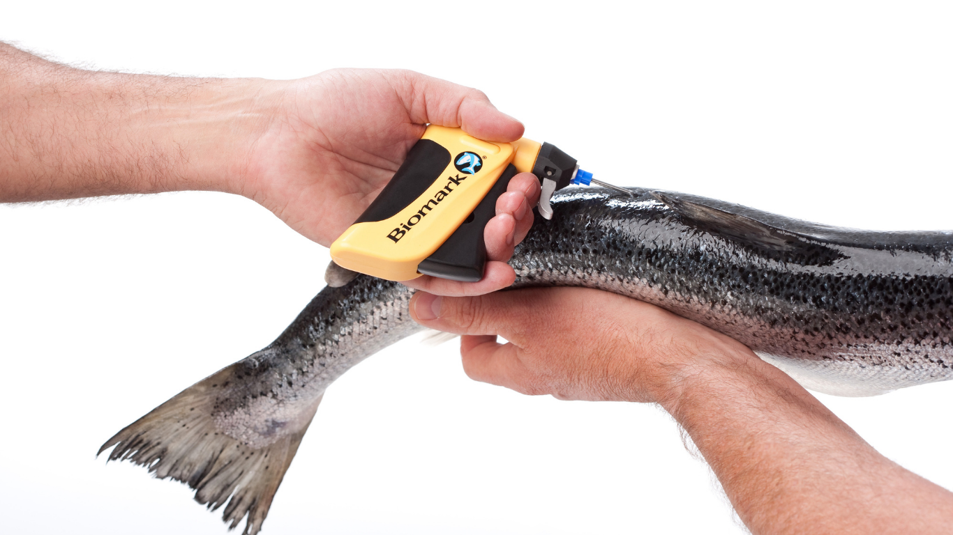 Solutions for Aquaculture - Biomark