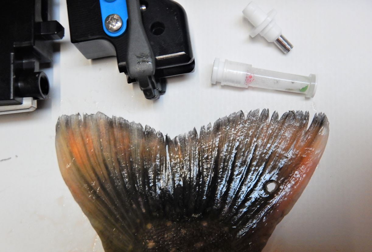 Vaki Aquaculture Solutions - Biomark - Specialists in Identification ...