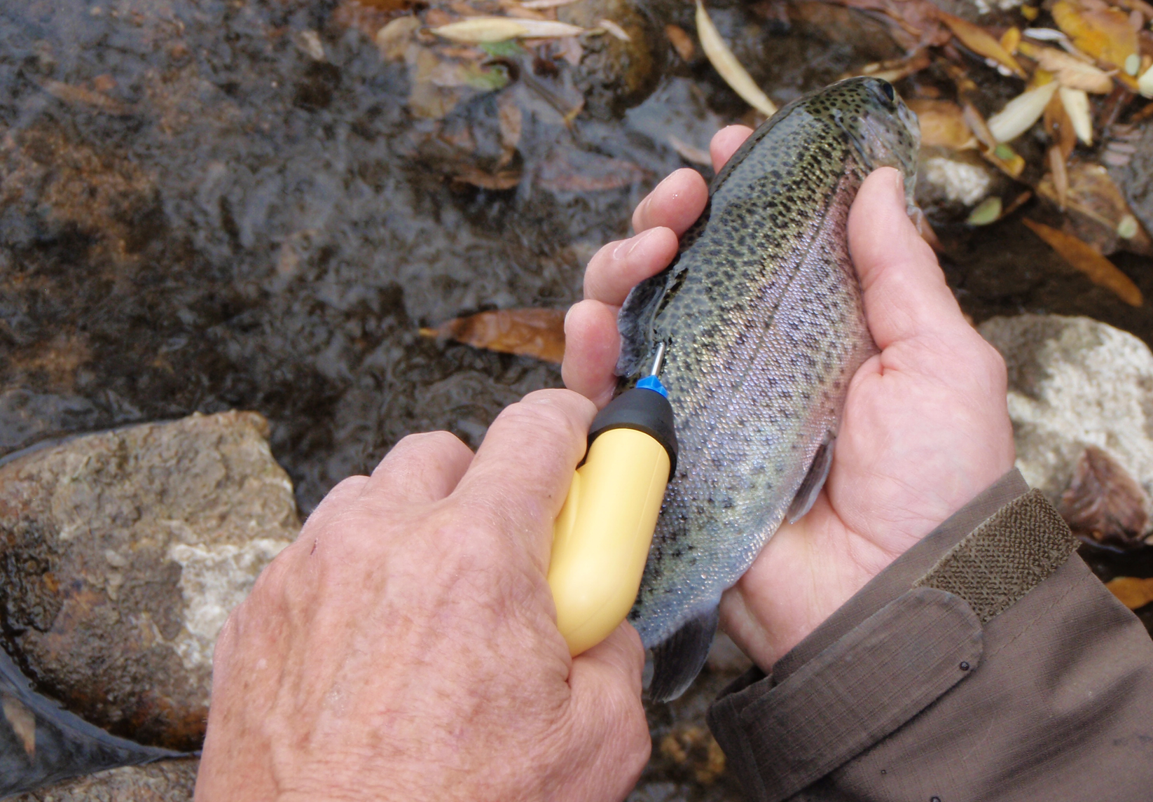 Home - Biomark - Specialists in Identification Solutions