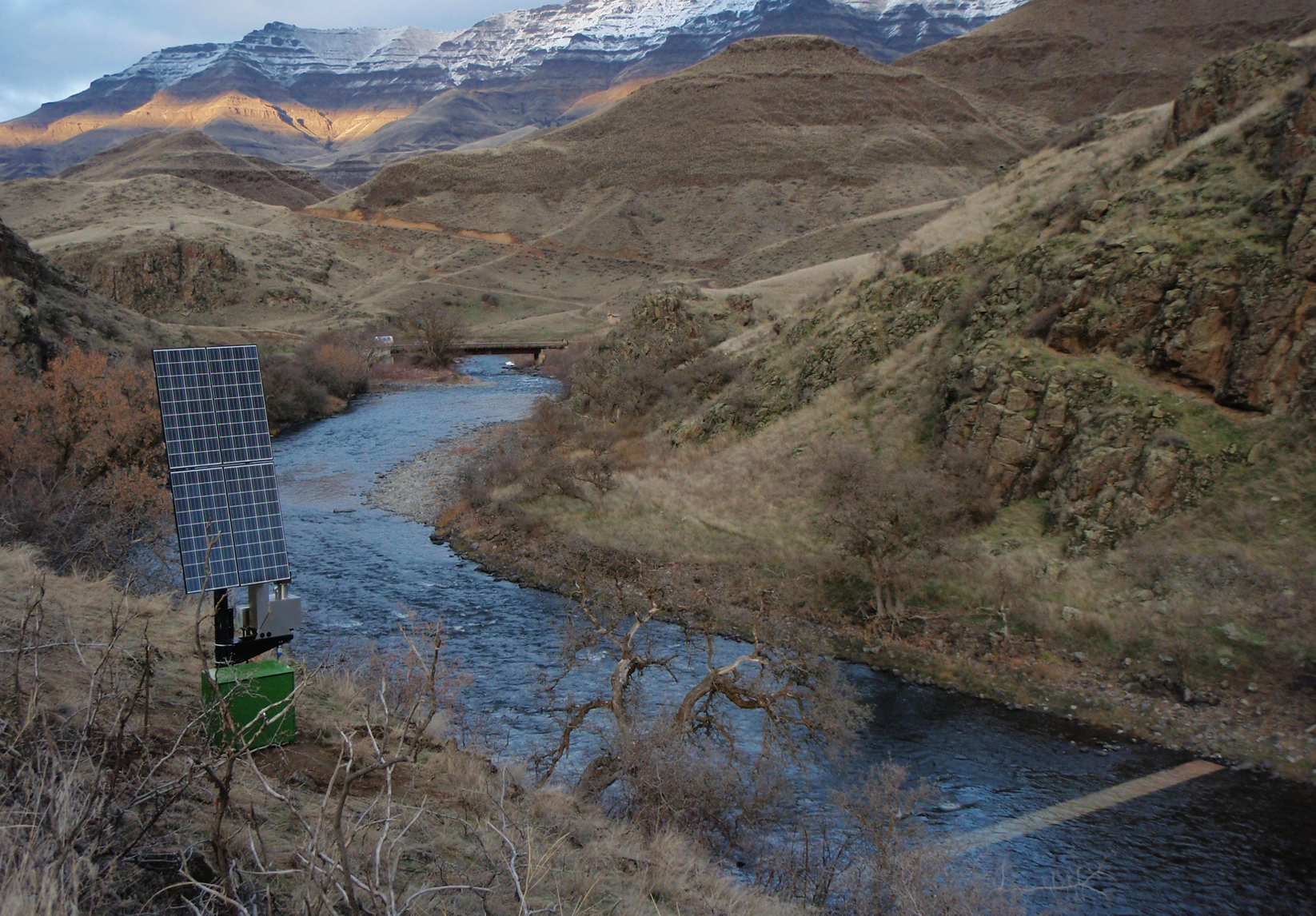 Home - Biomark - Specialists in Identification Solutions