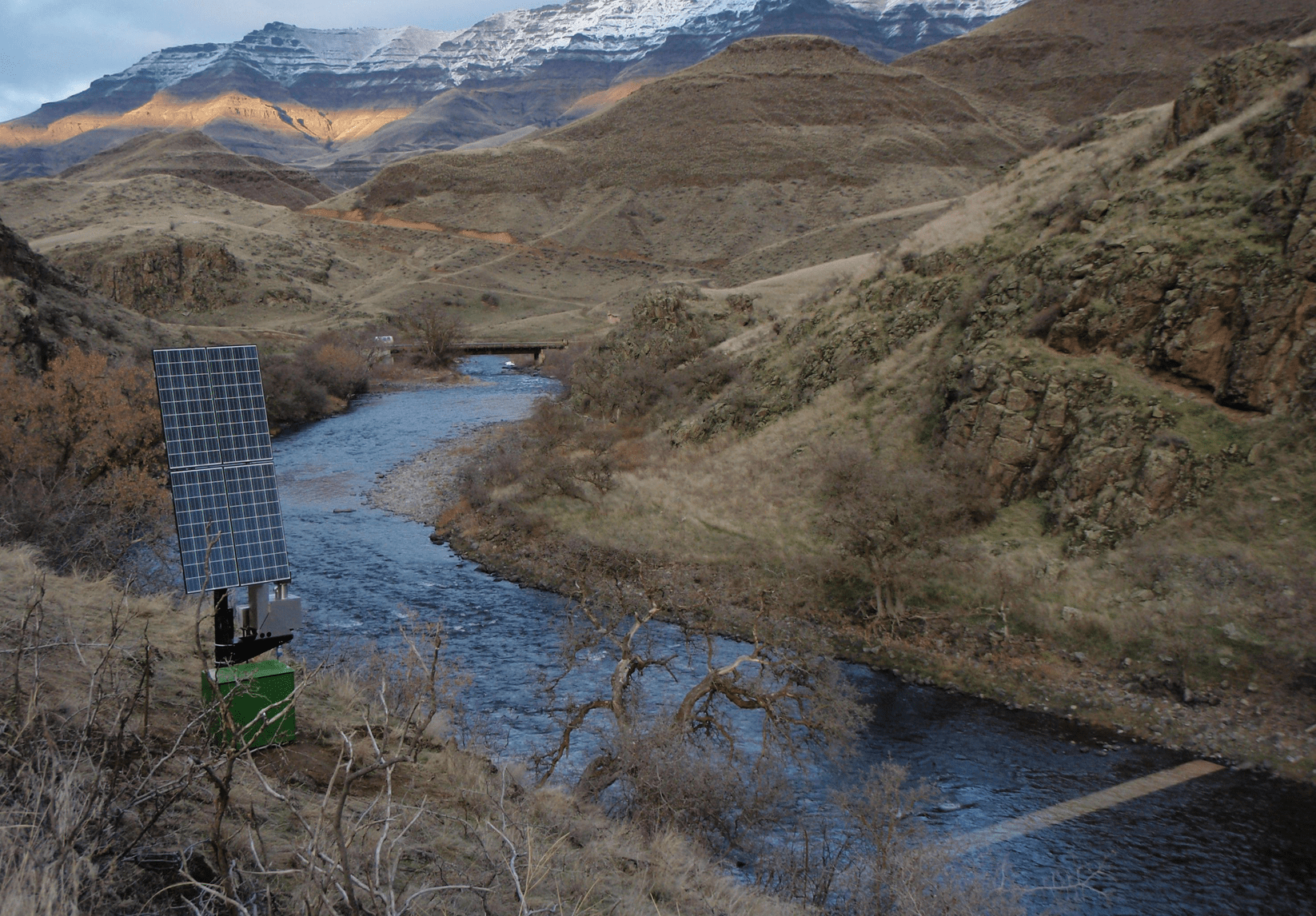 Home - Biomark - Specialists in Identification Solutions